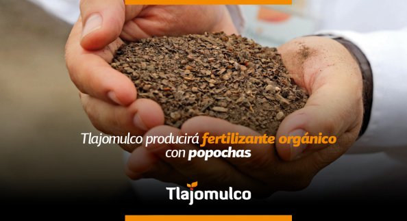 Tlajomulco produce toneladas composta del pez conocido como popocha | H ...